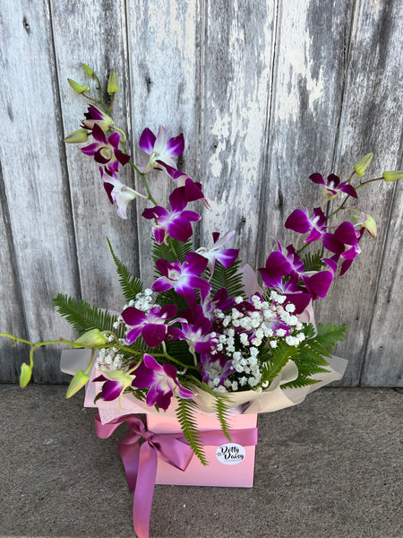Orchid Box Arrangement – Dotty Daisy Flowers
